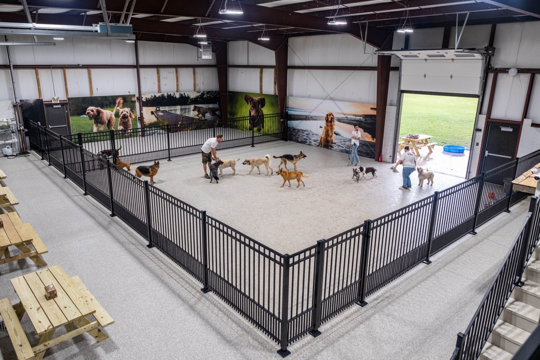 About Us – The Puppy Playground